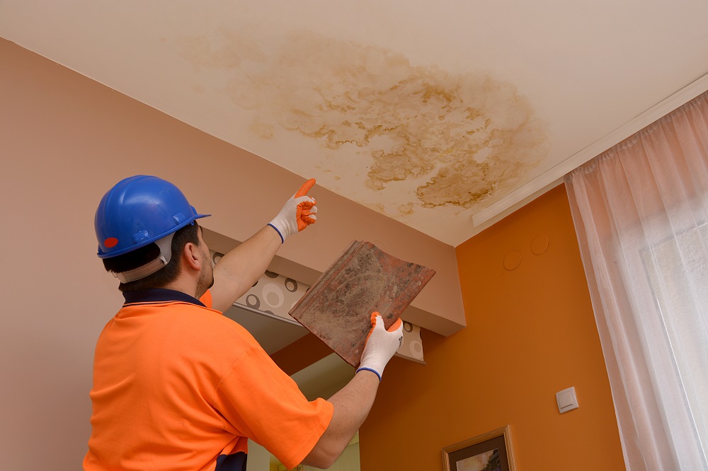 The Complete Checklist for Assessing Water Damage in Your Home - Planty ...