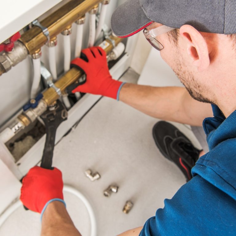 How to Identify Early Signs of Mould in Your Commercial Space - Planty ...